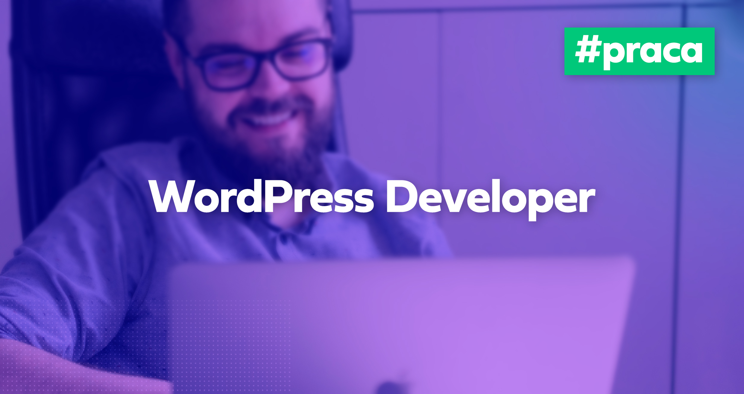 Join the team - WordPress Experts - WP Served